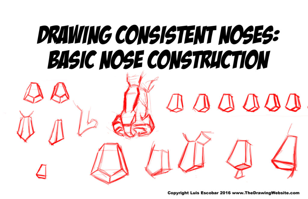 Drawing Consistent Noses – Basic Nose ConstructionLuis' Illustrated ...
